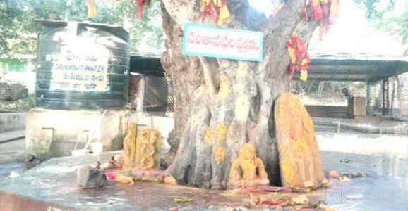 Narra Tours & Travels